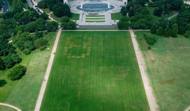 US Park Police are investigating giant ’86 47′ markings on National ...
