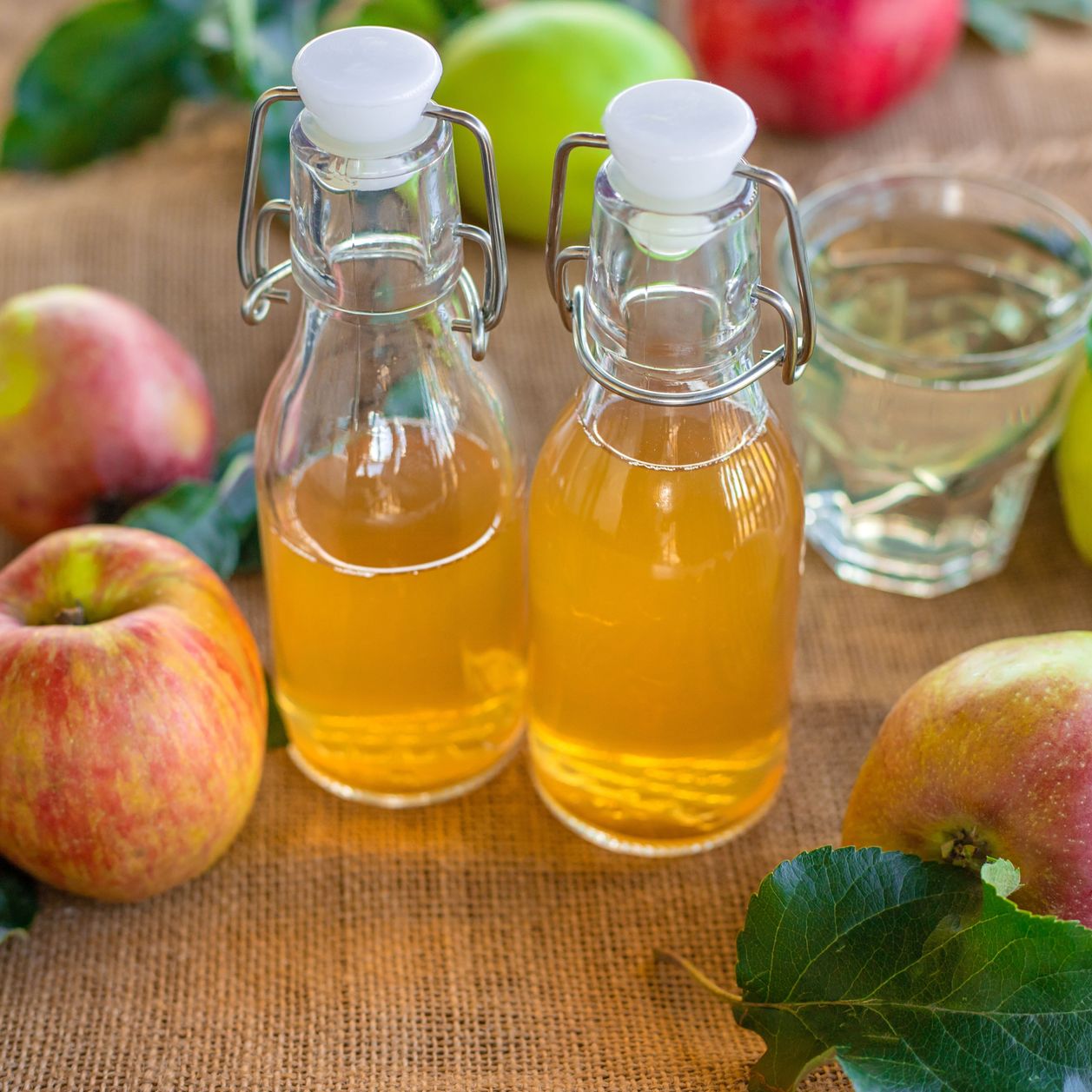 Taches noires : le spray au vinaigre de cidre d'un chef jardinier ...