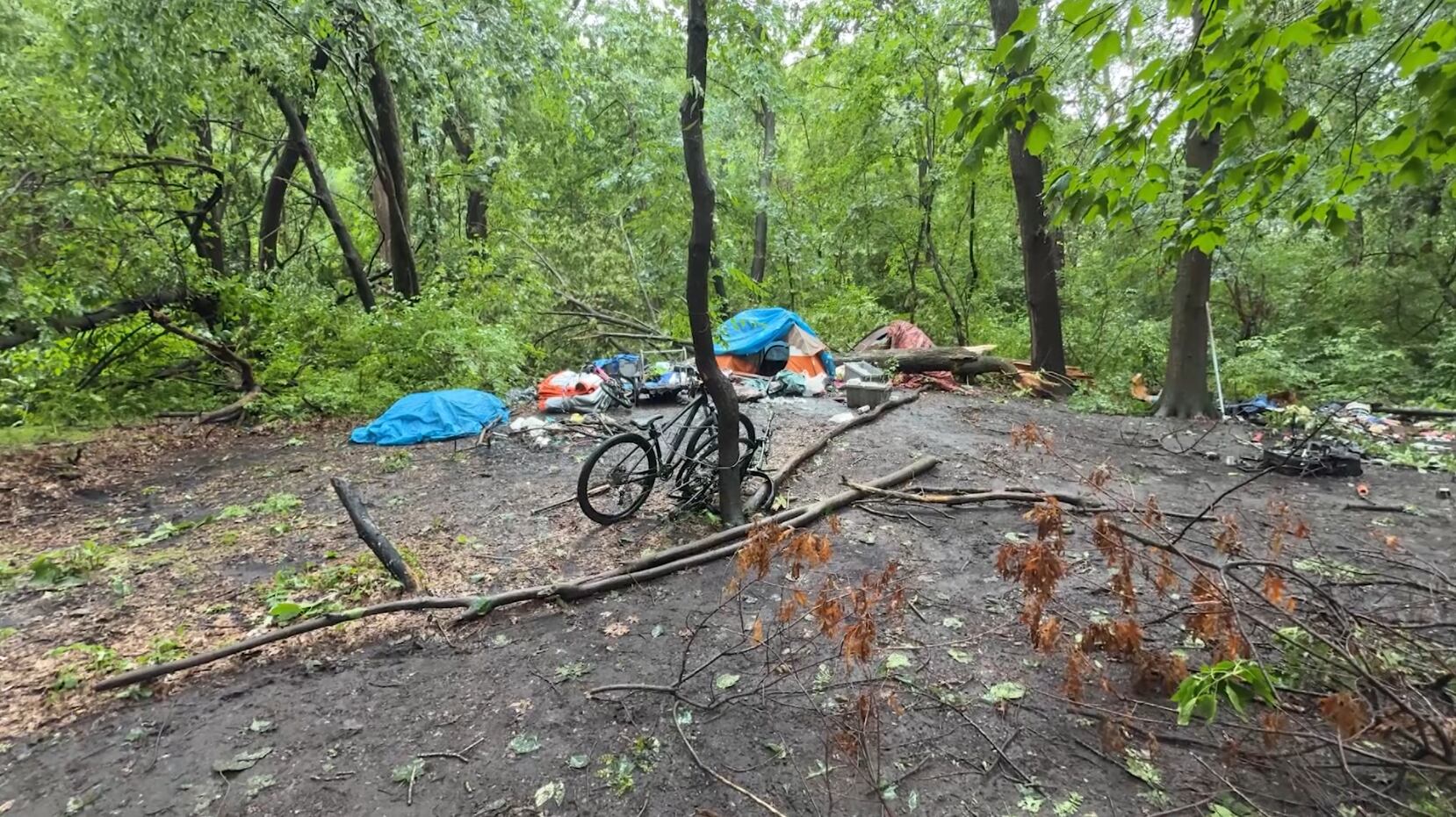 Des Moines man dies from falling tree in Thursday morning storm