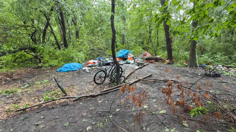 Des Moines man dies from falling tree in Thursday morning storm