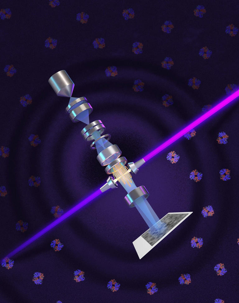 Physicists introduce phase contrast to electron microscopy, delivering ...