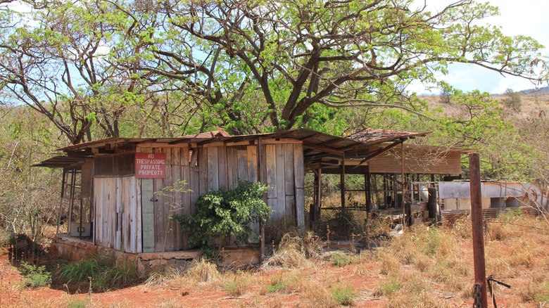 The National Parks System is reopening Hawaii's once-forgotten 'Hell ...