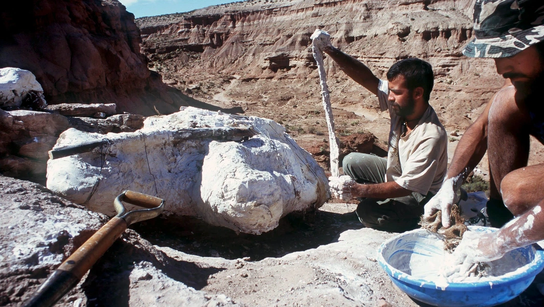 6 remarkable fossil discoveries reshaping prehistoric history