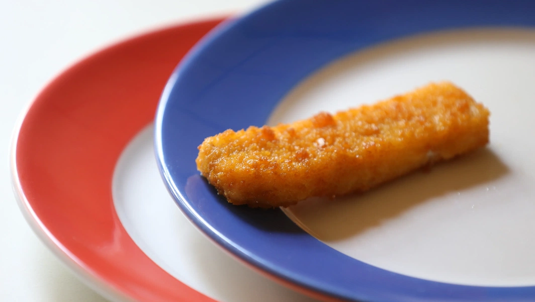 4 best frozen fish sticks and fillets of 2026