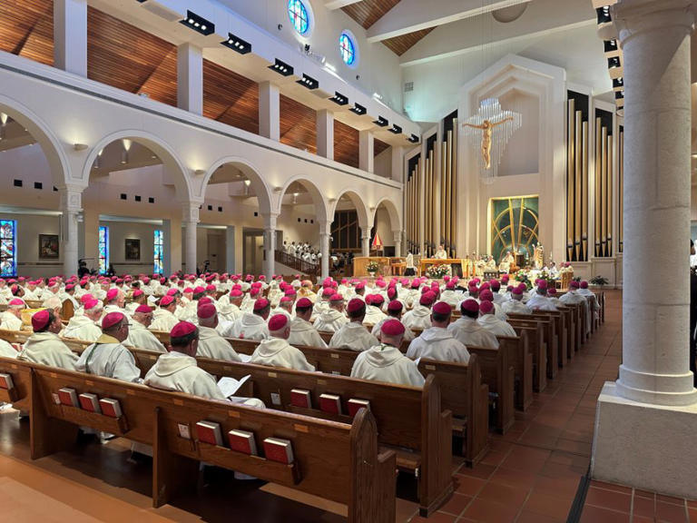 Catholic bishops consecrate US, White House says Trump and Melania join ...