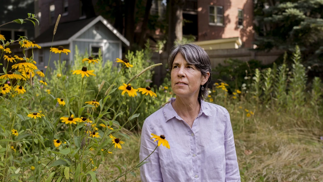 Native gardening revival gains momentum across the US in 2026