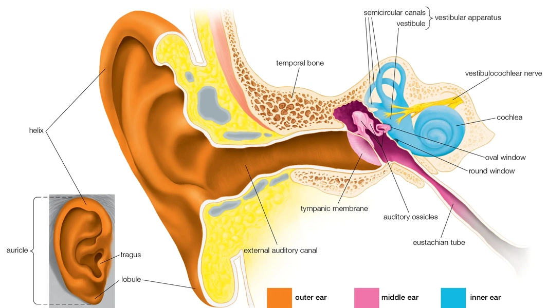 Safe and effective ear cleaning practices