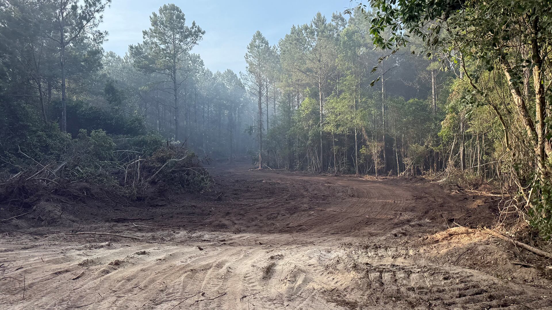 Rose Bay Canal fire now nearly 50% contained