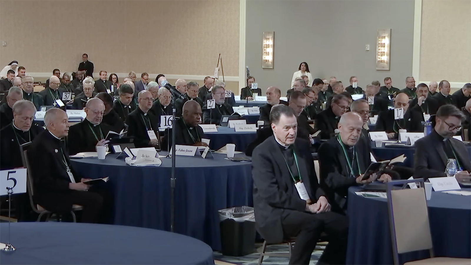 Catholic bishops approve revised abuse guidelines despite calls for ...