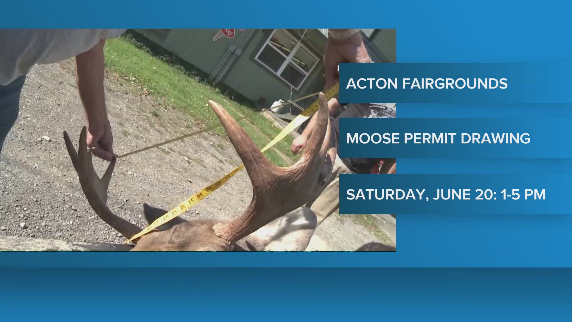Details on moose lottery permit drawing