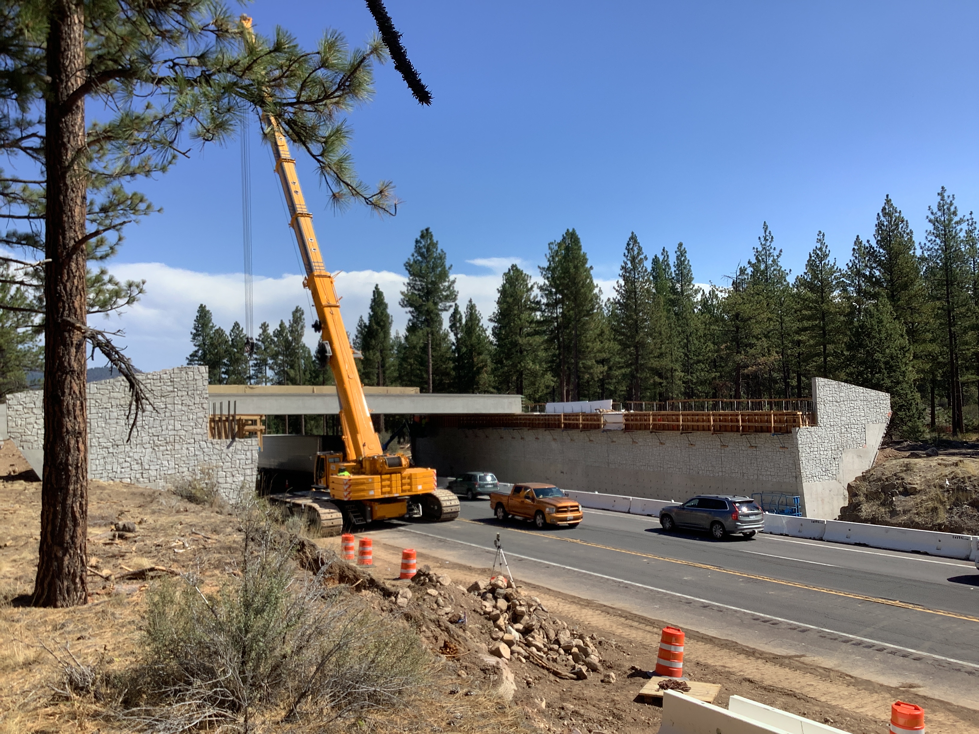 Mule deer are already using California's first wildlife crossing—and it ...