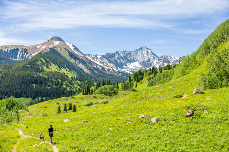 Summer in Aspen brings a food frenzy—here's where to eat in between ...