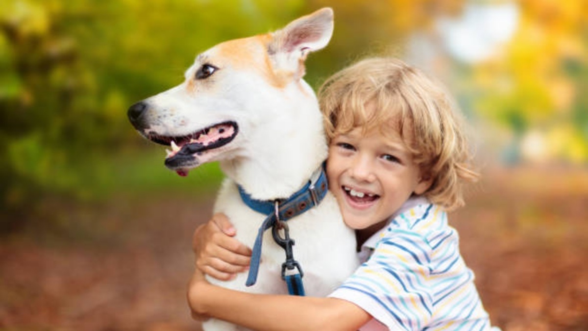 Big dog vs. small dog: What your breed size choice secretly says about ...