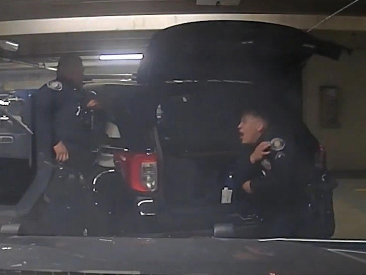 California police officer accidentally shoots another cop in 'horseplay ...
