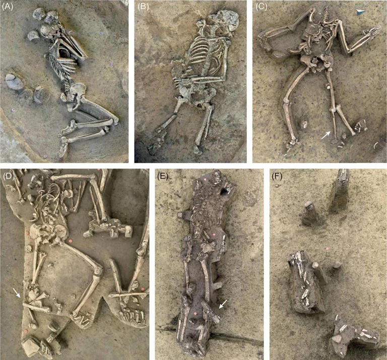 Discovery of ancient 'headless' burial site could finally solve 7,000 ...
