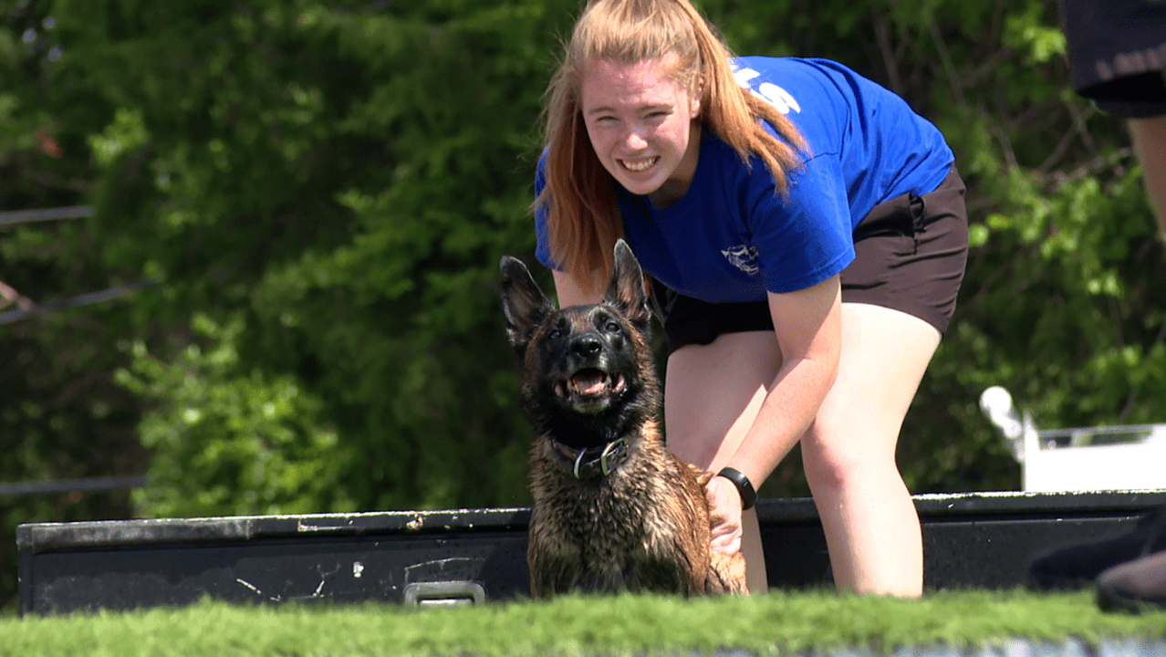 Dogs take a vacation in Adams County, show off agility skills