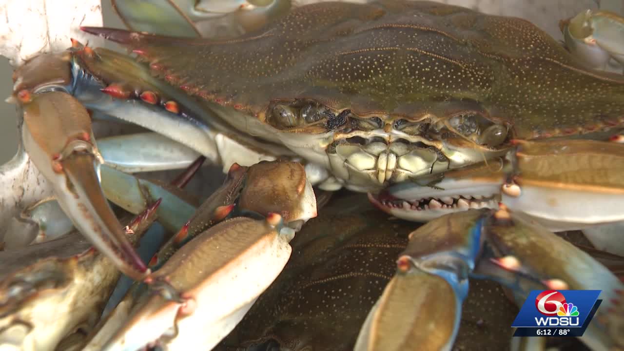 Gov. Landry signs new seafood labeling bill into law