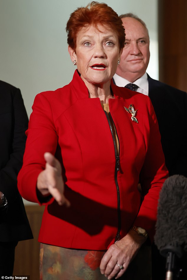 Pauline Hanson defends $2.3M 'fire the liar' haul after Anthony ...