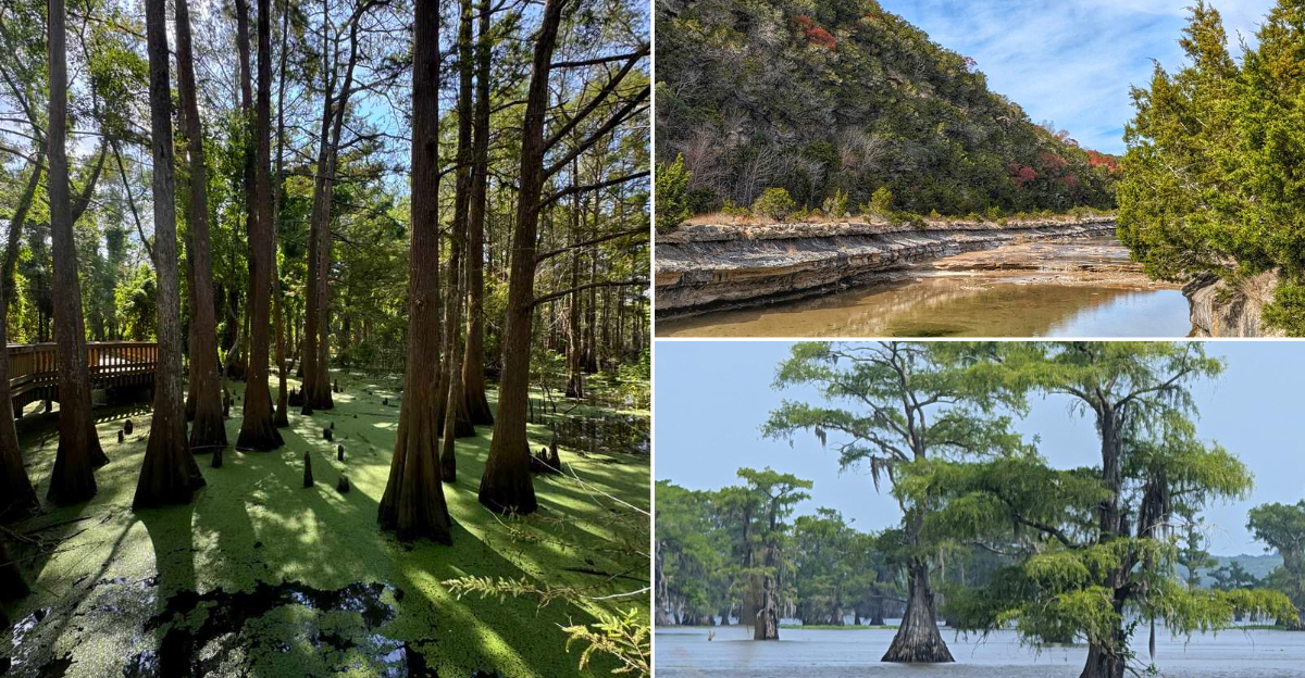 These Texas refuges protect some of the state’s most unique landscapes