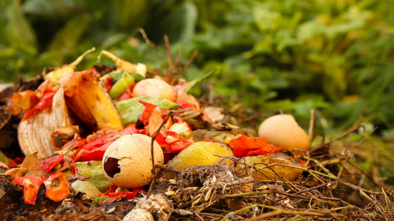 What's the best brown/green ratio for compost? It depends
