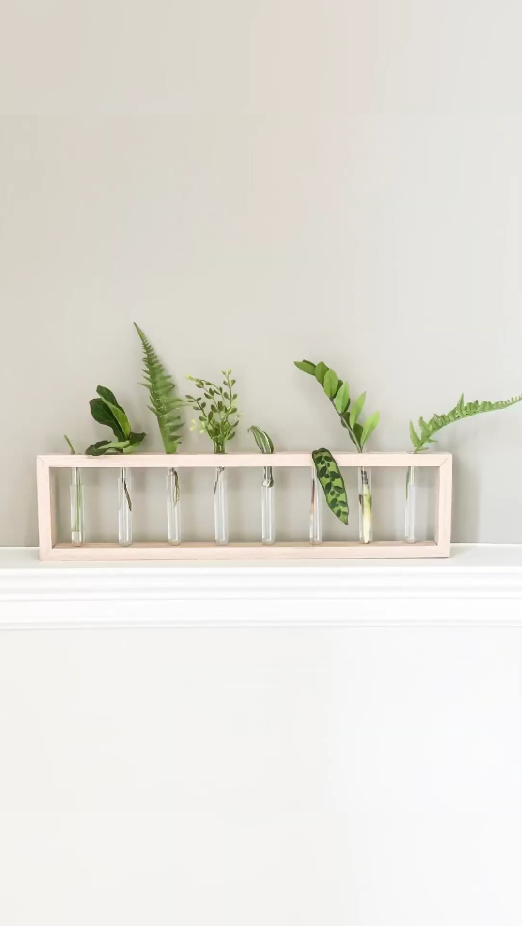 Minimal material DIY propagation frame for plants