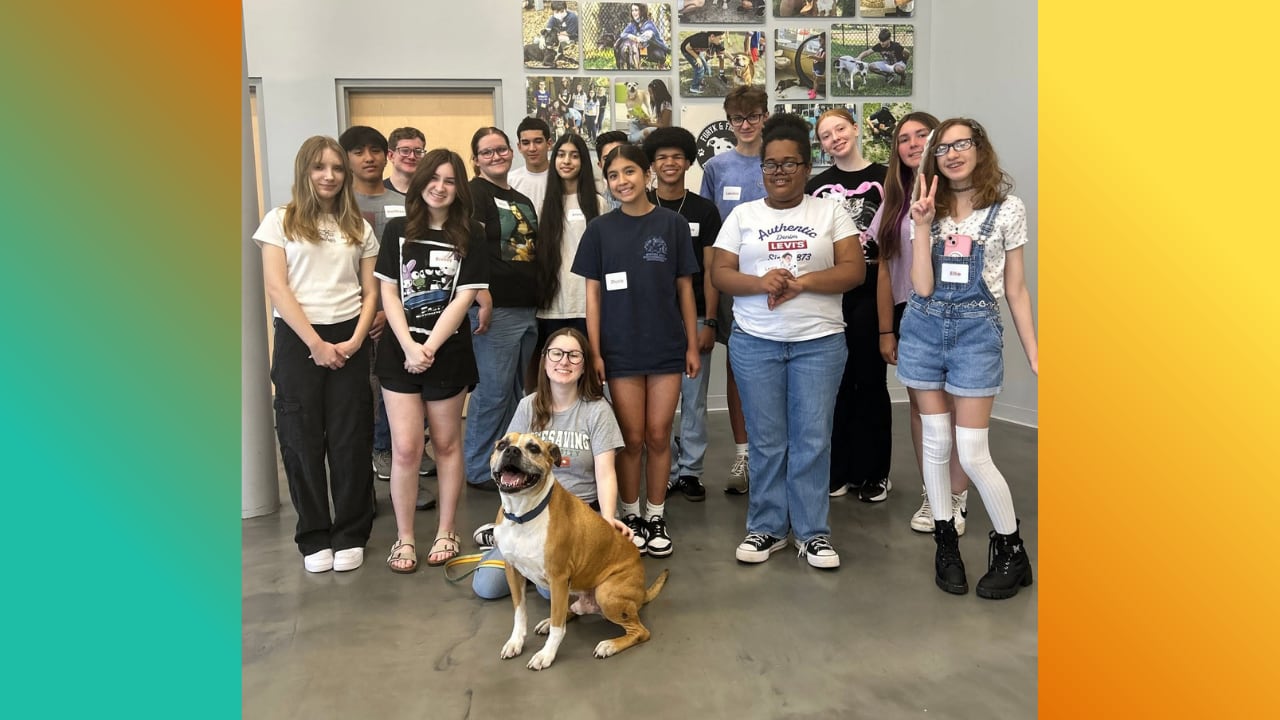 Compassion Club: Jacksonville Humane Society launches new volunteer ...