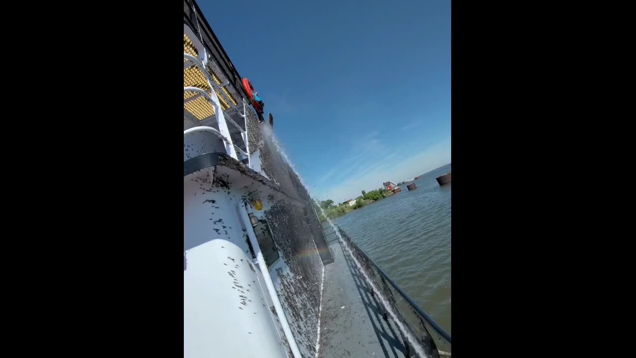 Mayfly season blankets Tennessee River towboat as crew films oddly ...