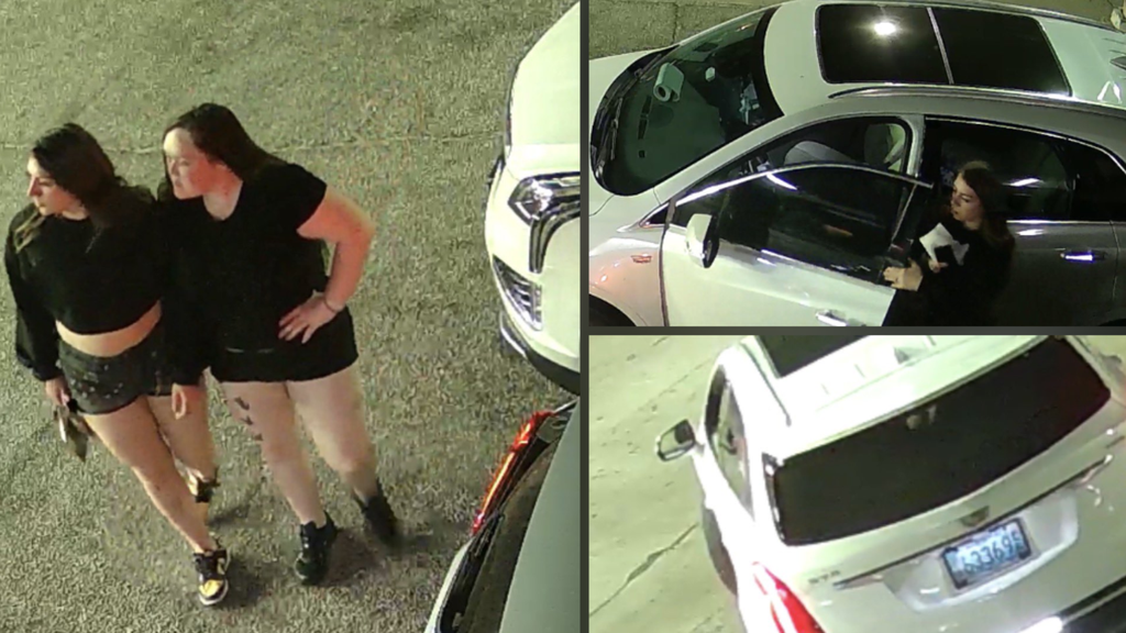 Baltimore police seek 2 women in connection with Federal Hill triple ...
