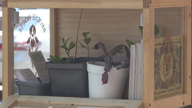 Community Plant Library hopes to sprout growth of green thumbs