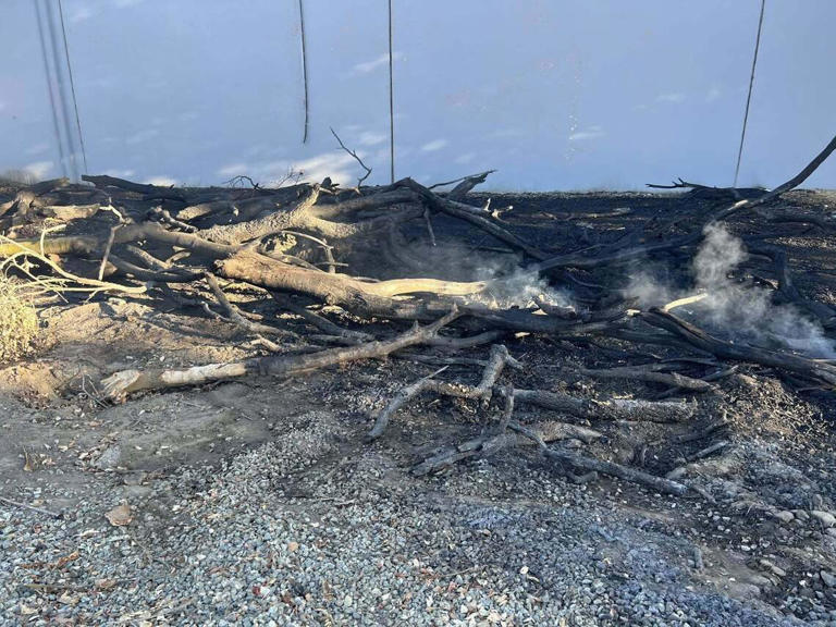Woodland woman arrested on suspicion of setting 4 fires amid red flag ...