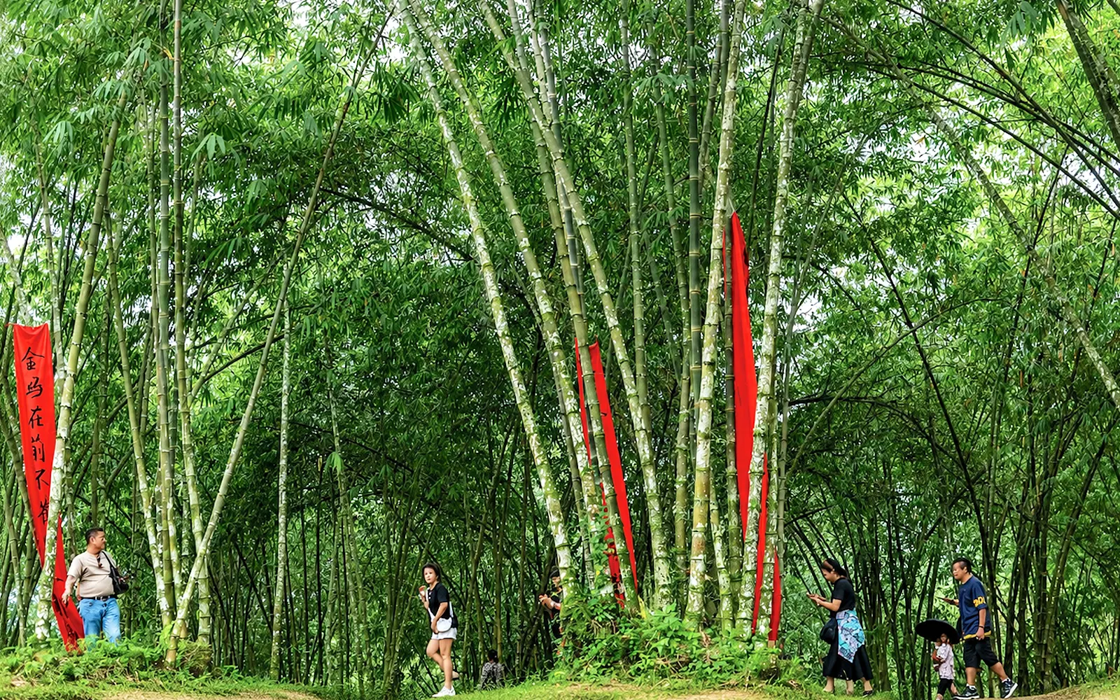 The hidden bamboo village drawing visitors to Kulai