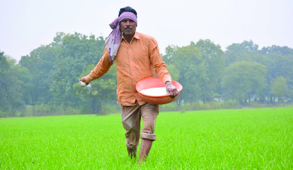 Fertiliser subsidy estimate to be reassessed with fall in urea import ...