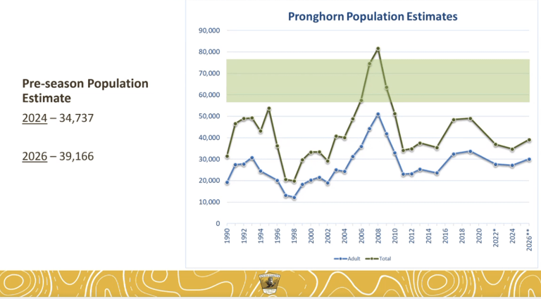 Antelope population up, GFP: Maintain buck-only licenses