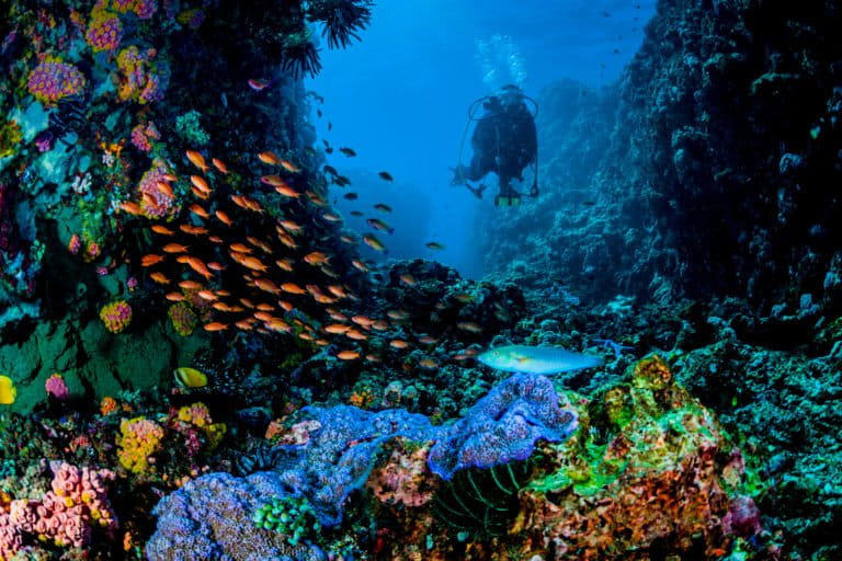 Southeast Asian nations chart important new course toward environmental ...