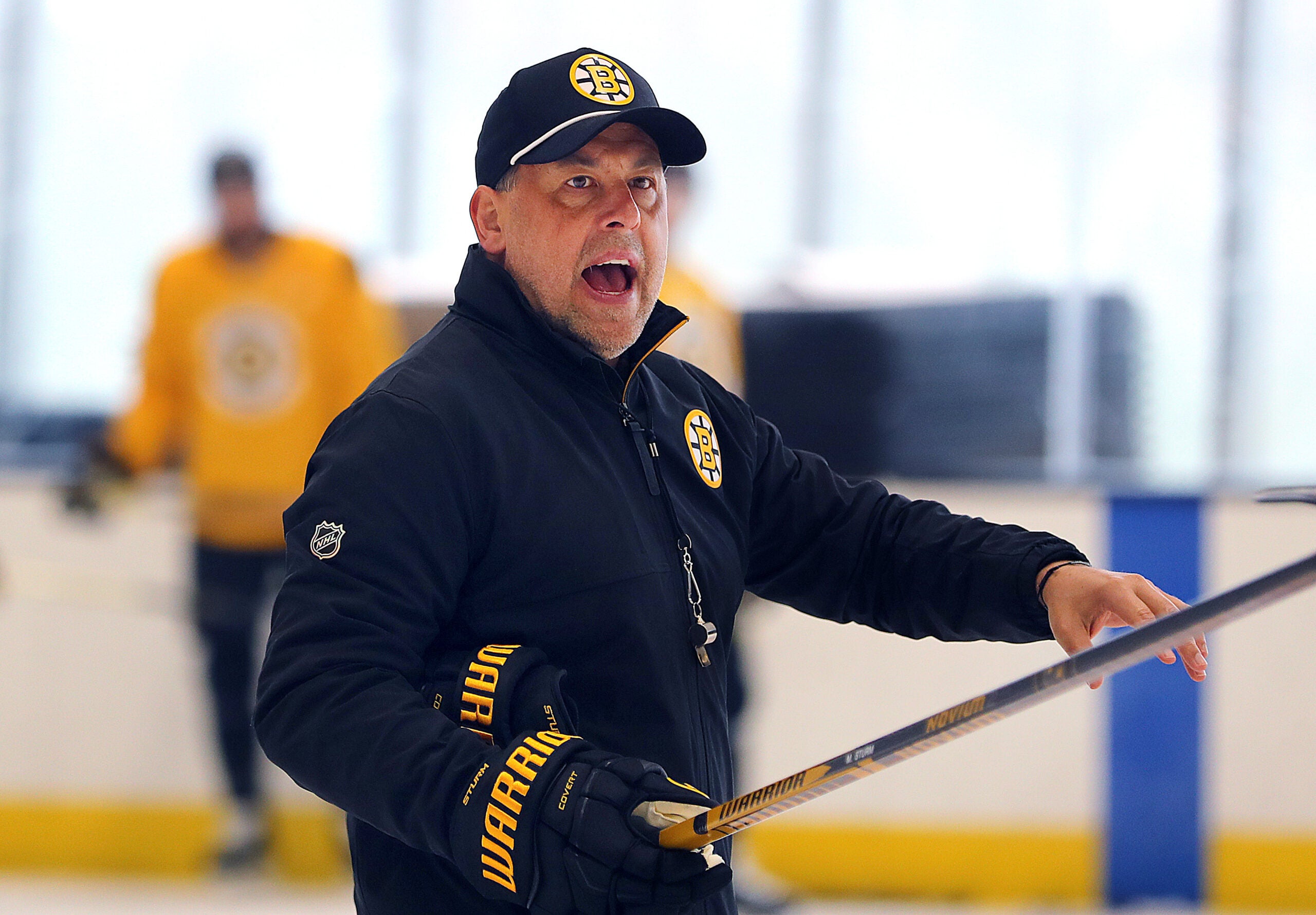 Bruins add a new coach to Marco Sturm’s staff