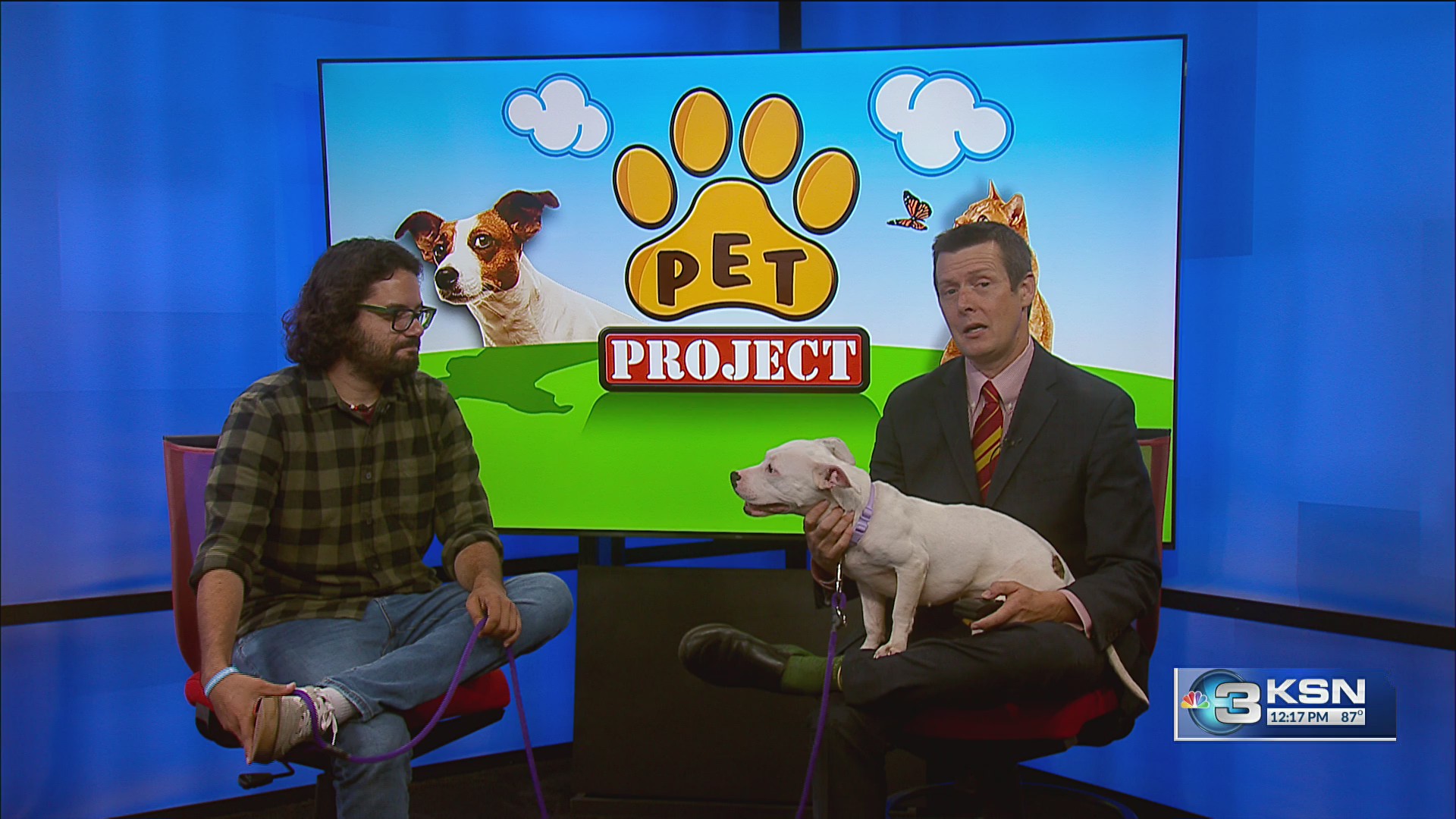 Pet project: Meet Baby Gworl, a cuddly companion