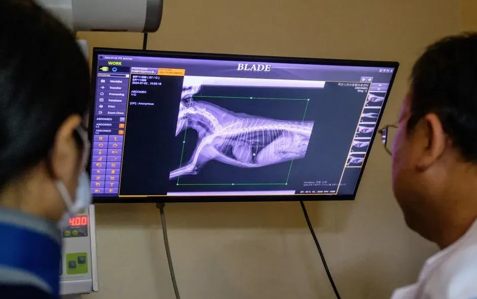 Smarter veterinary software to save you hours