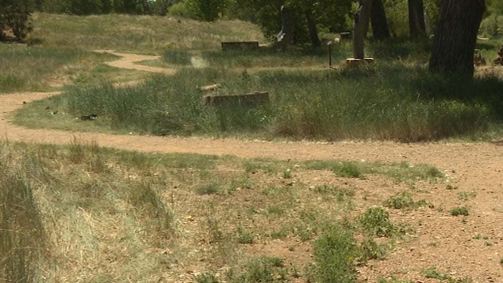 Drought forces northern Colorado volunteers to stop planting seedlings ...