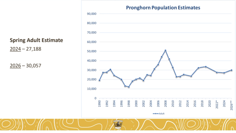 Antelope population up, GFP: Maintain buck-only licenses