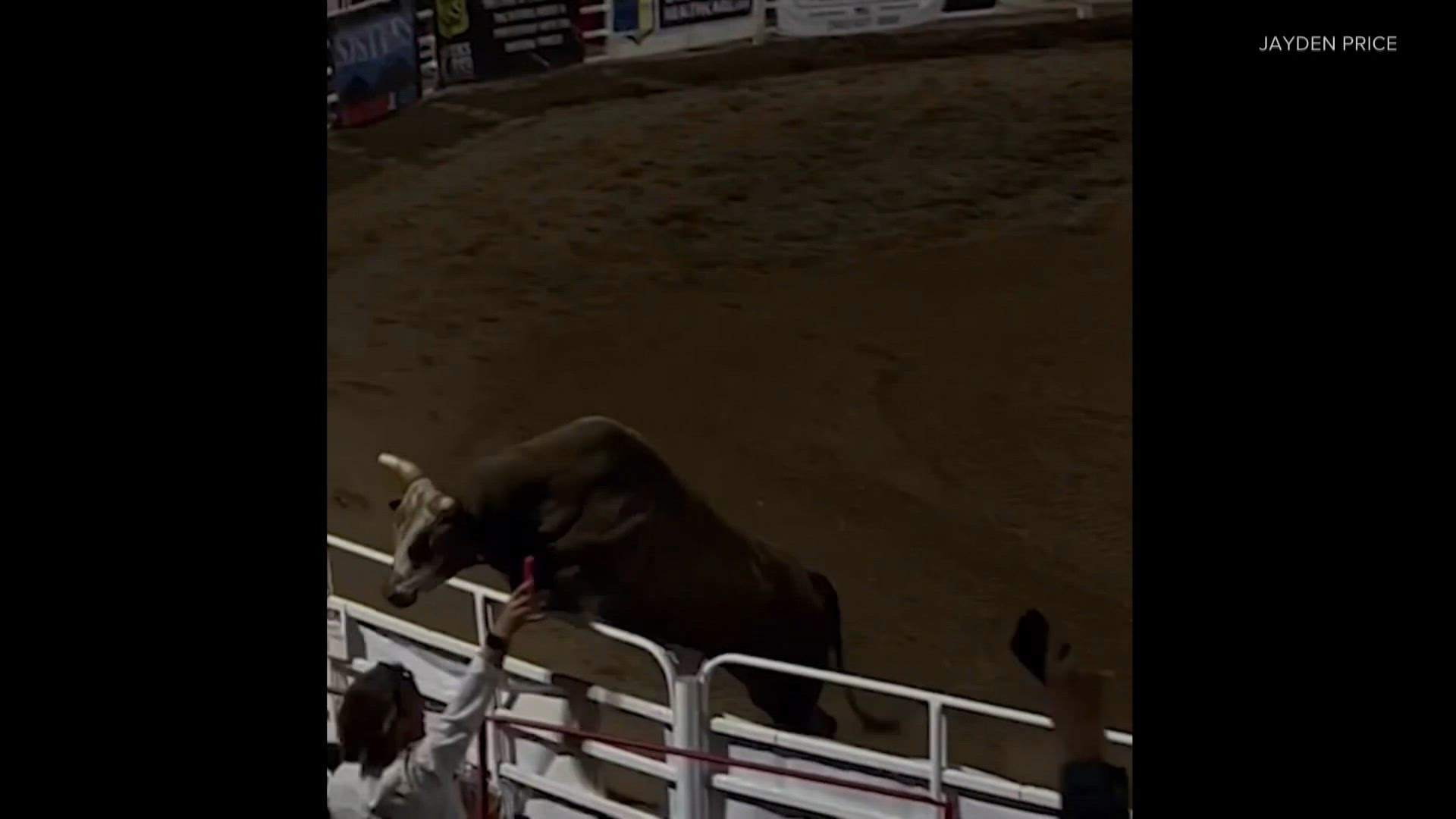 Spectators sue rodeo after bull named Party Bus jumped into stands two ...