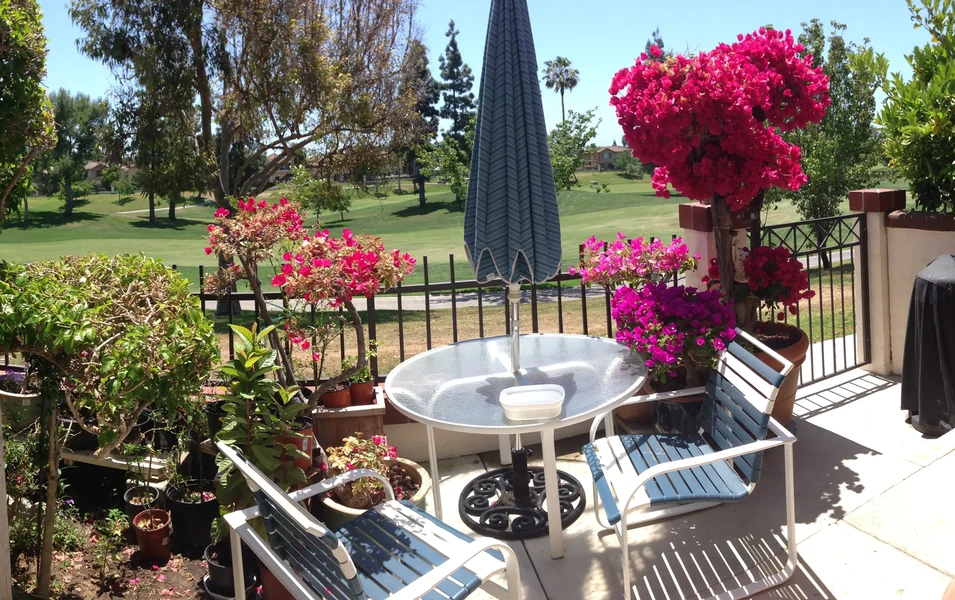 Small front yards with big personality