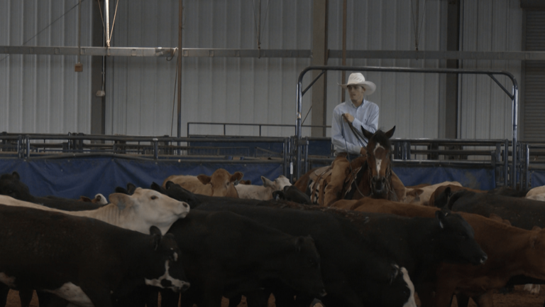 Cowboy hats & championship dreams: Inside a Texas rodeo tradition in ...