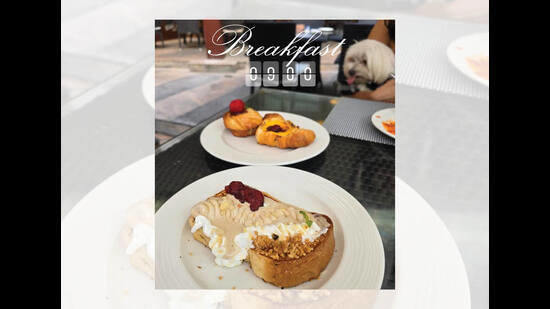 Bone appétit: Pet food is now so fancy, it’s even confusing humans