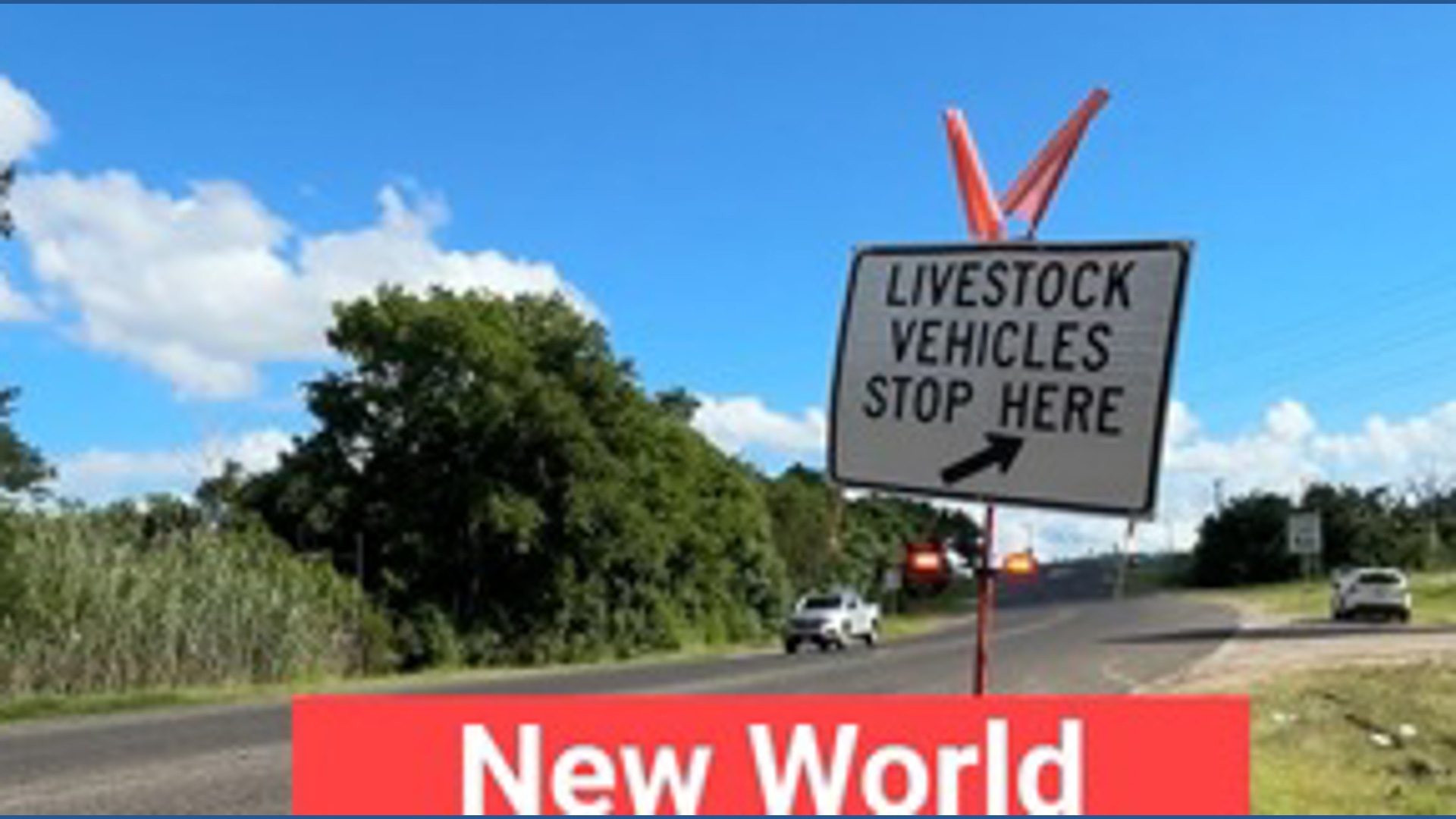 New World screwworm livestock inspection site in Kerrville