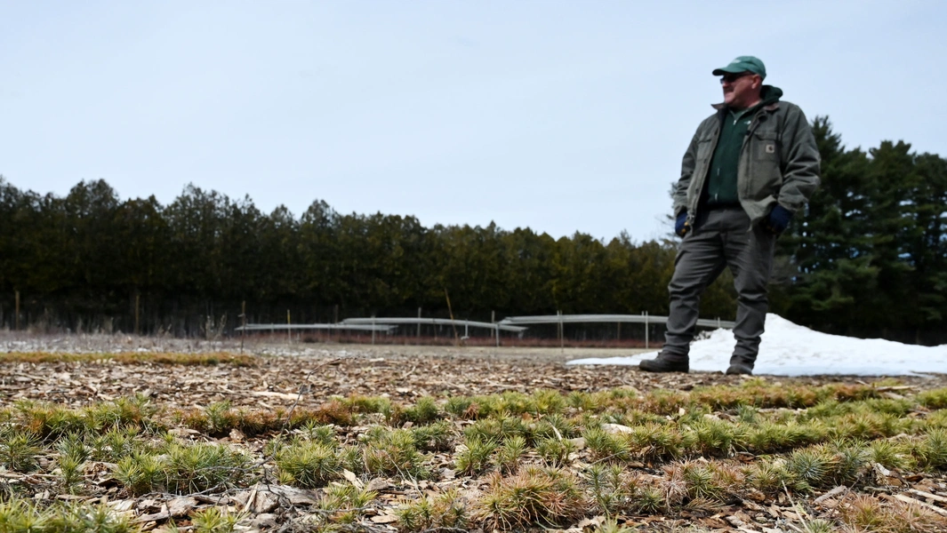 Native gardening revival gains momentum across the US in 2026