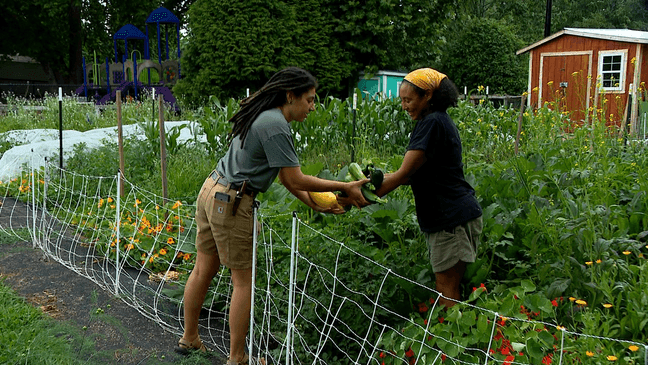 Blue Cross NC renews funding for WNC prescription food program