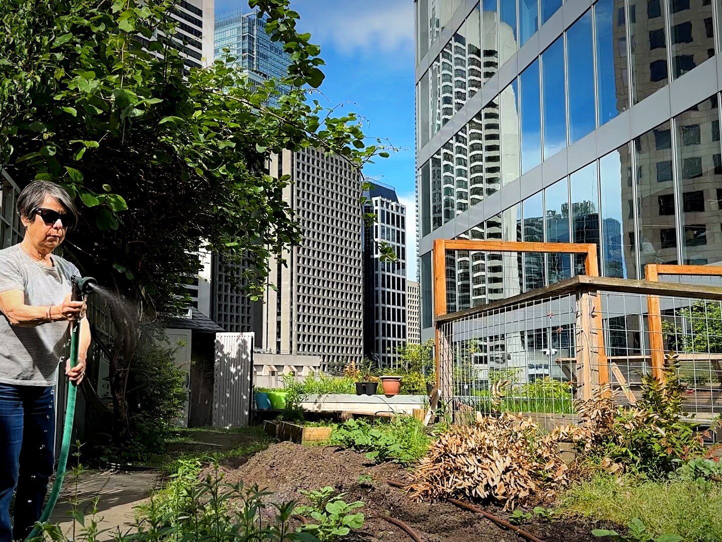 Un jardin sur le toit qui fait une grande différence