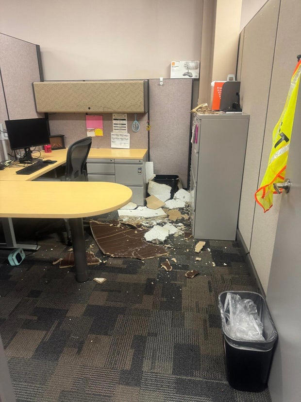IRS employees protest rat infestation at Chamblee campus; agency ...