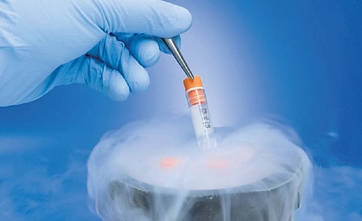RCC to get cryofreeze facility to make bone-marrow transplants affordable