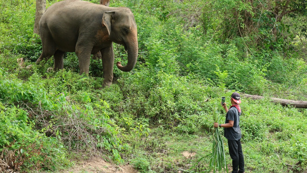 How to capture wildlife with heart and respect
